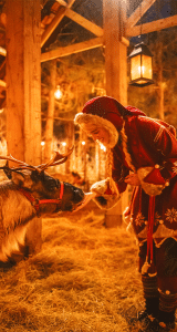 The Ultimate LaplandUK Experience - A Christmas Adventure