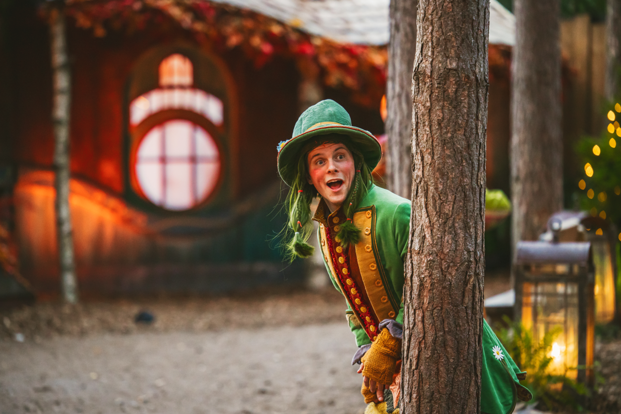 The Elven Bazaar - LaplandUK